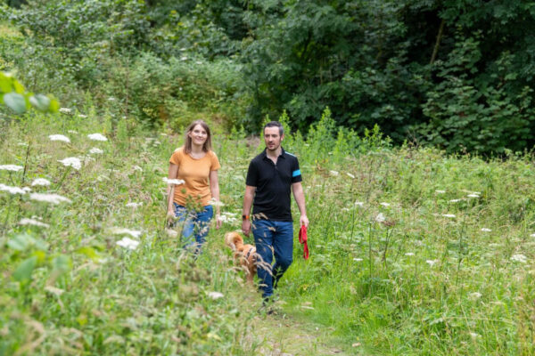 Buxton Country Park and Solomon's Temple - Buxton Civic Association